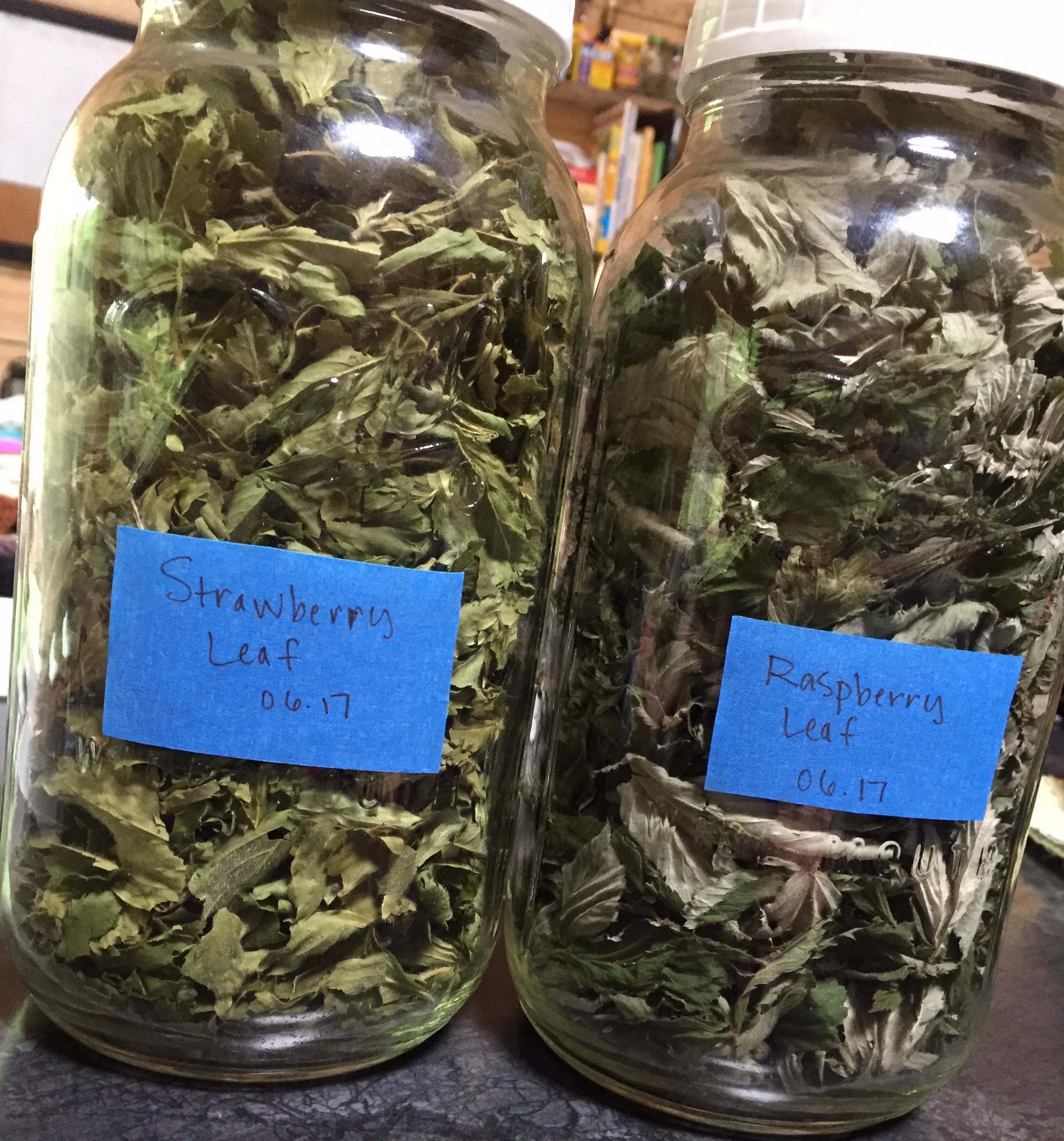 Wild Raspberry Leaf Tea, a Homesteading First